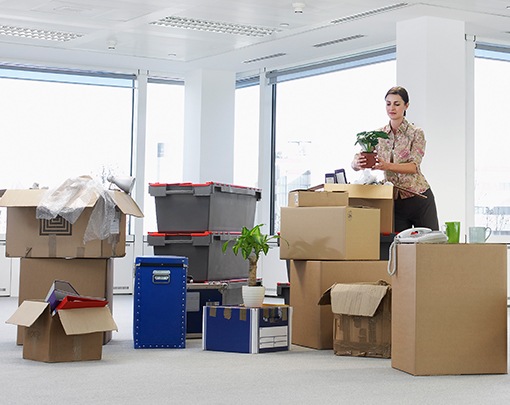 Local Moving Companies Denver 🏡 2026 May
